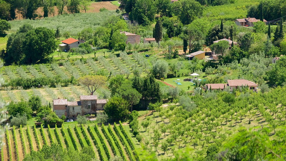 Tuscany Vacations 2017: Explore Cheap Vacation Packages | Expedia