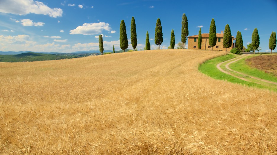 Tuscany Vacations 2017: Explore Cheap Vacation Packages | Expedia