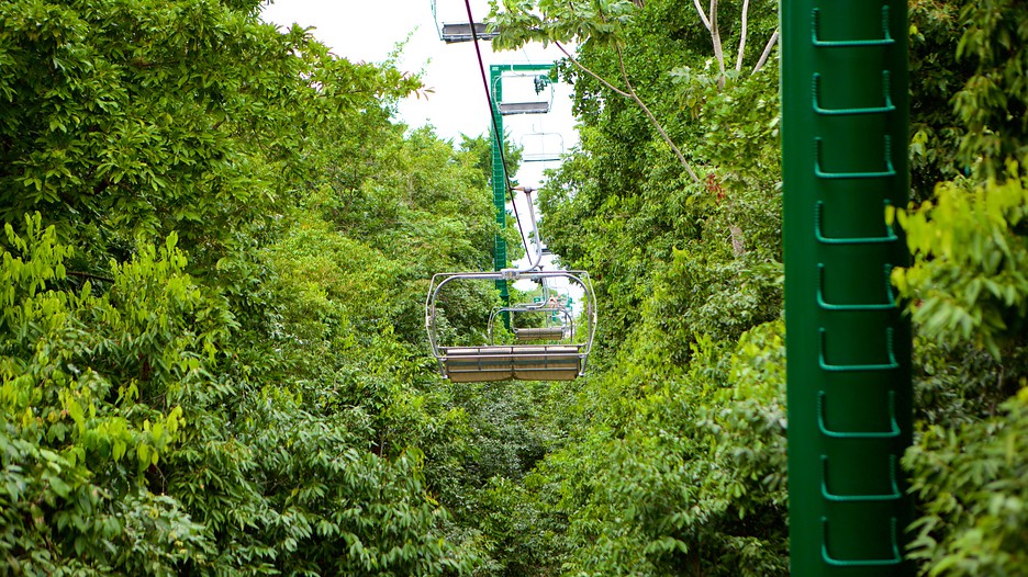 Mystic Mountain in Montego Bay, | Expedia