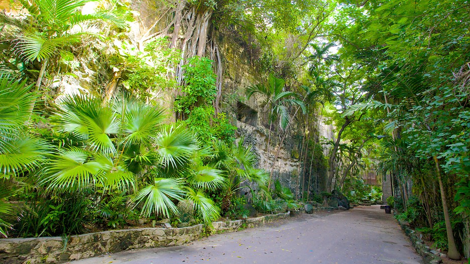 Queen's Staircase in Nassau, | Expedia