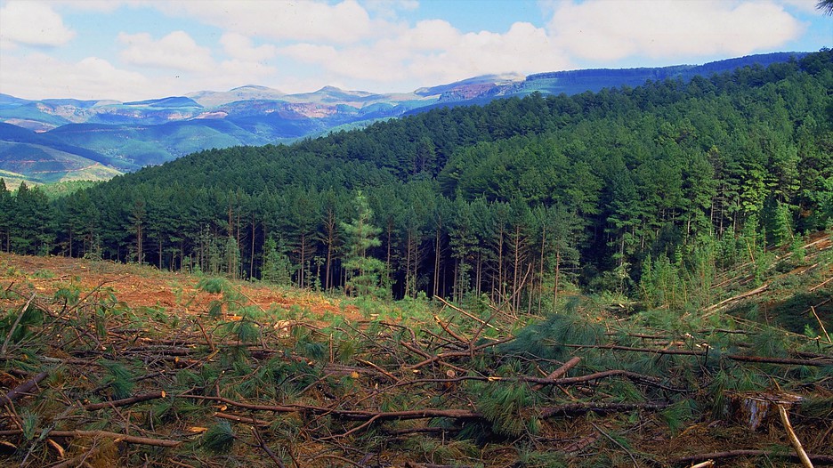 The Best Sabie Vacation Packages 2017: Save Up to $C590 on our Deals ...