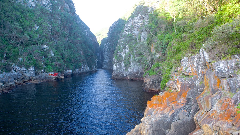 Tsitsikamma National Park in Storms River, | Expedia