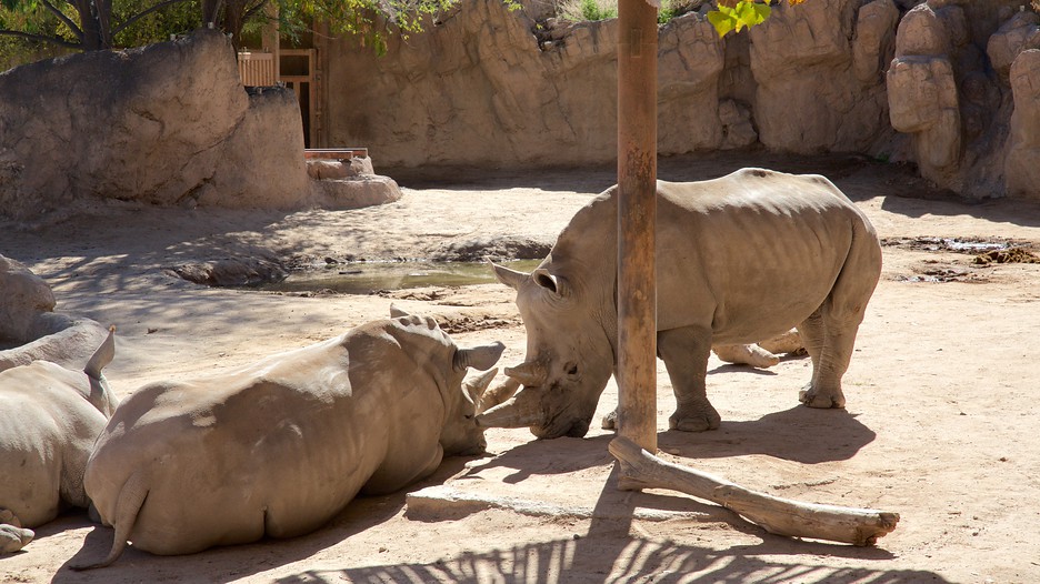 Albuquerque Vacation Packages 2017 - Book Albuquerque Trips | Travelocity