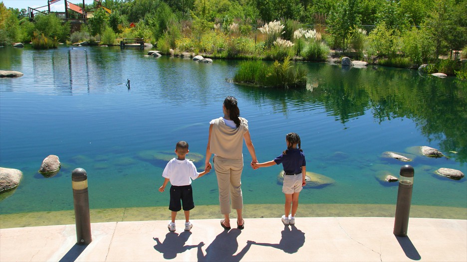 Albuquerque Vacations: Package & Save up to $570