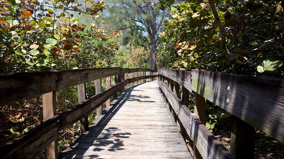 Delnor Wiggins Pass State Park In Naples Florida Expedia