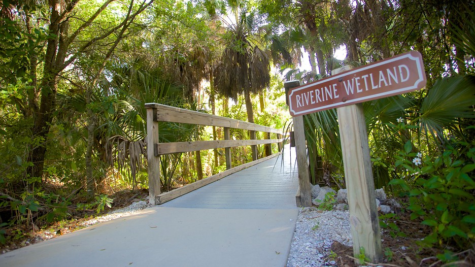 Manatee Park in Fort Myers, Florida | Expedia