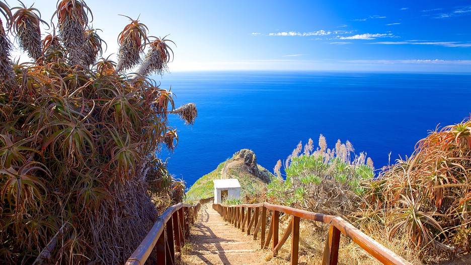 Madeira Island Vacations 2017: Package & Save up to $603 | Expedia