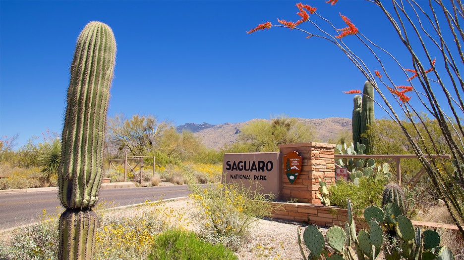 Tucson Vacations 2017: Package & Save up to $603 | Expedia