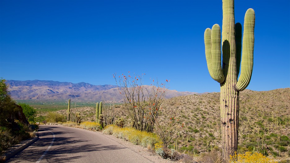 Tucson Vacations 2017: Package & Save up to $603 | Expedia