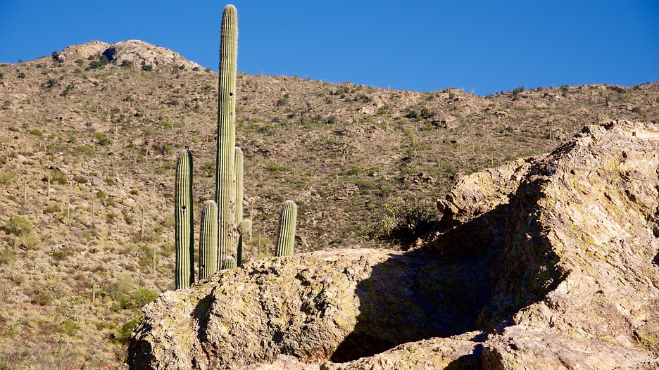 Tucson Vacations 2017: Package & Save up to $603 | Expedia