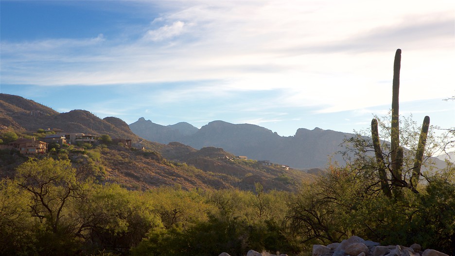 Tucson Vacations 2017: Package & Save up to $603 | Expedia