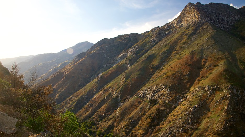 Sequoia National Park Vacations 2017: Package & Save up to $603 | Expedia