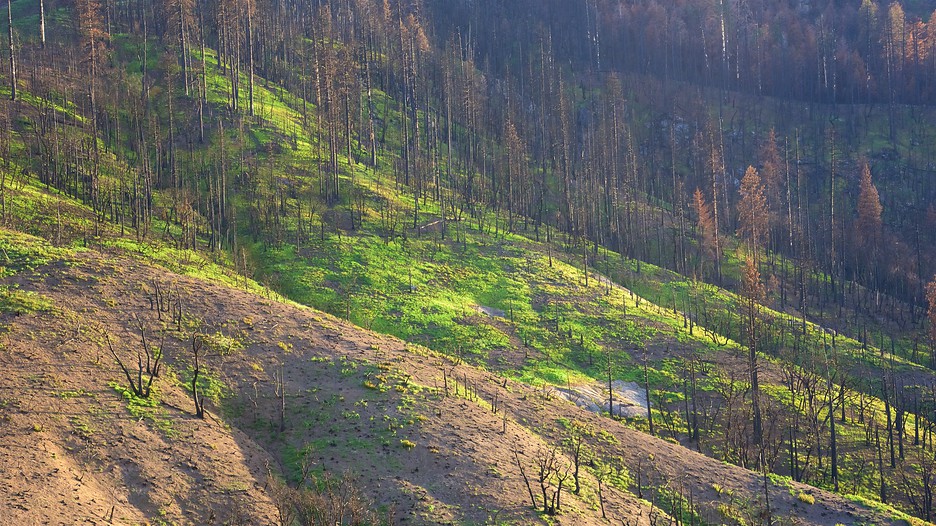 Sequoia National Park Vacations 2017: Package & Save up to $603 | Expedia