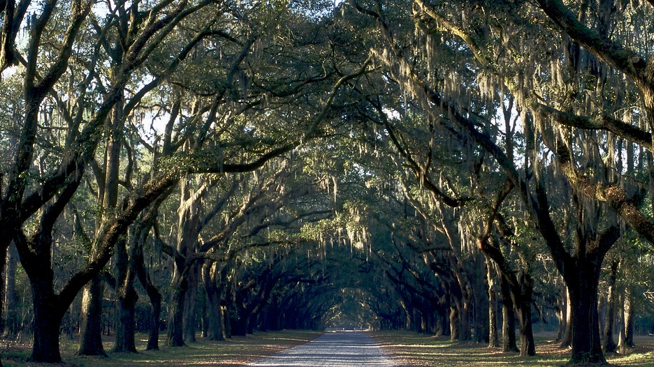 Savannah Vacation Packages - Book Savannah Trips | Travelocity