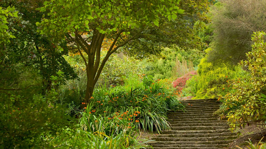 Mount Stewart House and Gardens in Newtownards, Northern Ireland | Expedia