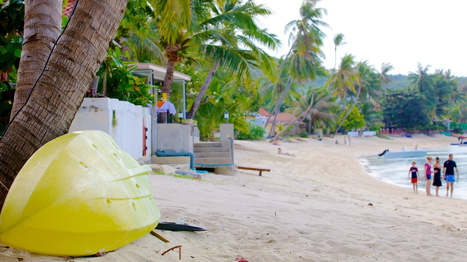 Bangrak Beach in Koh Samui, | Expedia