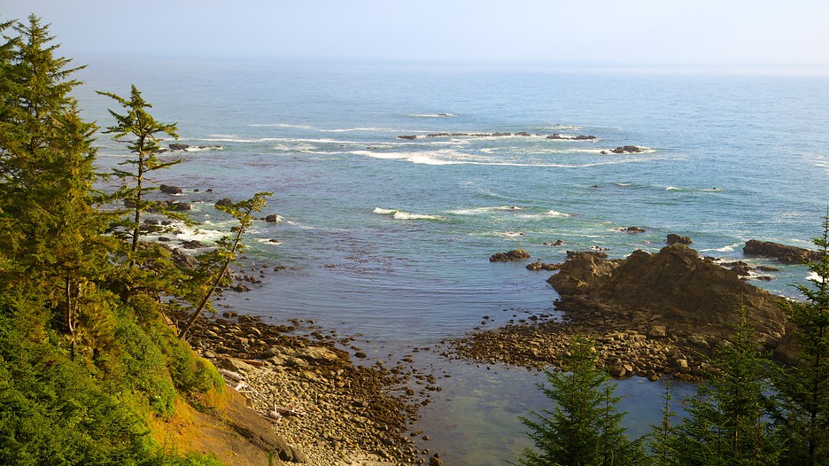 Cape Arago State Park - Coos Bay, Oregon Attraction | Expedia.com.au