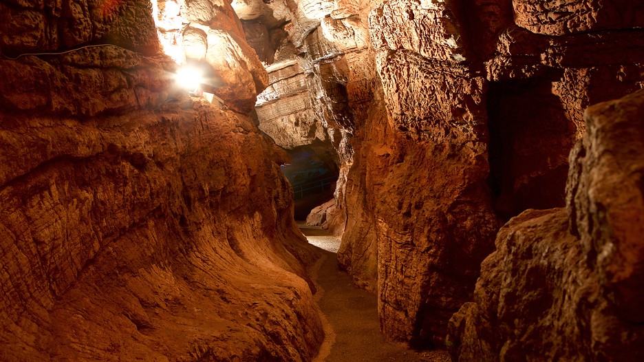 Kents Cavern Prehistoric Caves in Torquay, England | Expedia