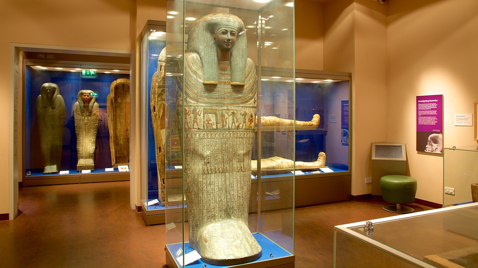 World Museum Liverpool in Liverpool, England | Expedia