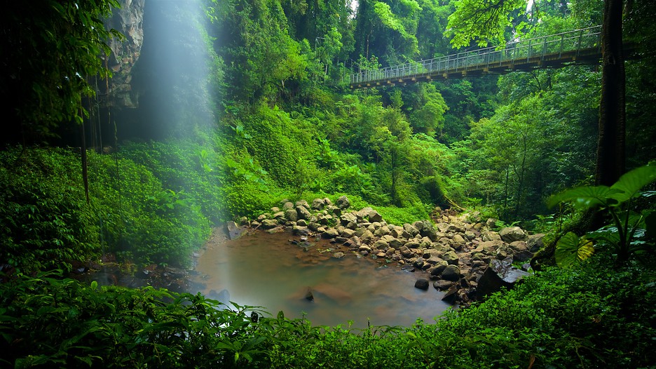 Dorrigo National Park in Dorrigo, New South Wales | Expedia