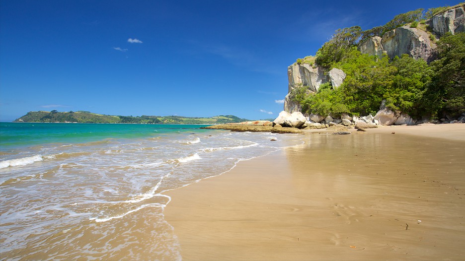 Shakespeare Cliff Lookout in Whitianga, | Expedia