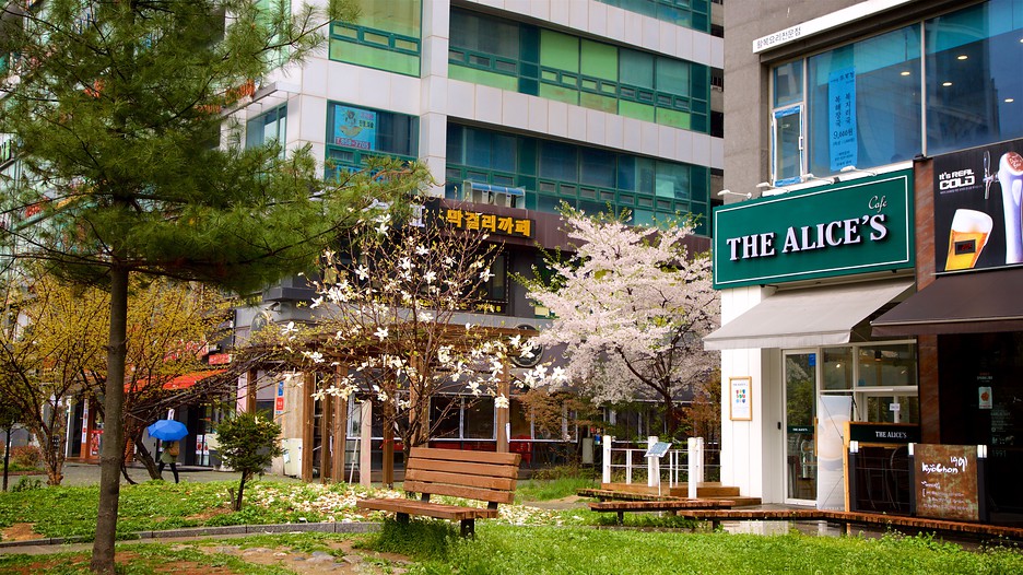 Incheon Travel, South Korea | Find holiday information | Expedia.com.my