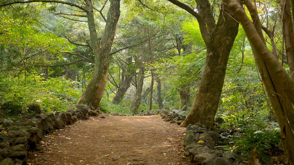 South Korea Vacations 2017: Explore Cheap Vacation Packages | Expedia