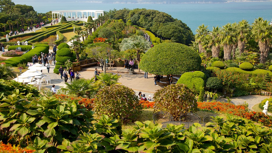 Oedo - Alchetron, The Free Social Encyclopedia