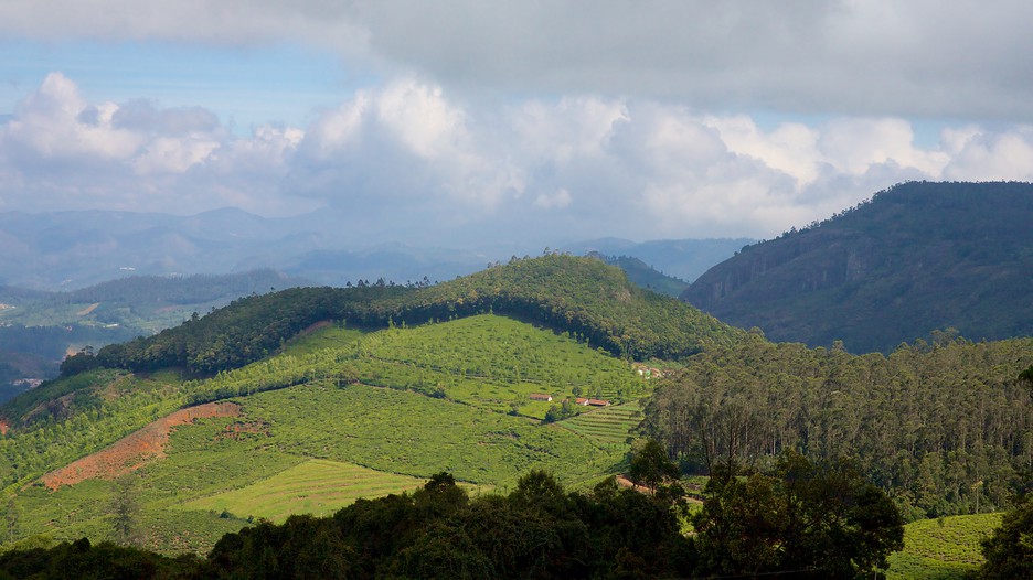 Doddabetta Peak - Ooty ｜Expedia.co.in