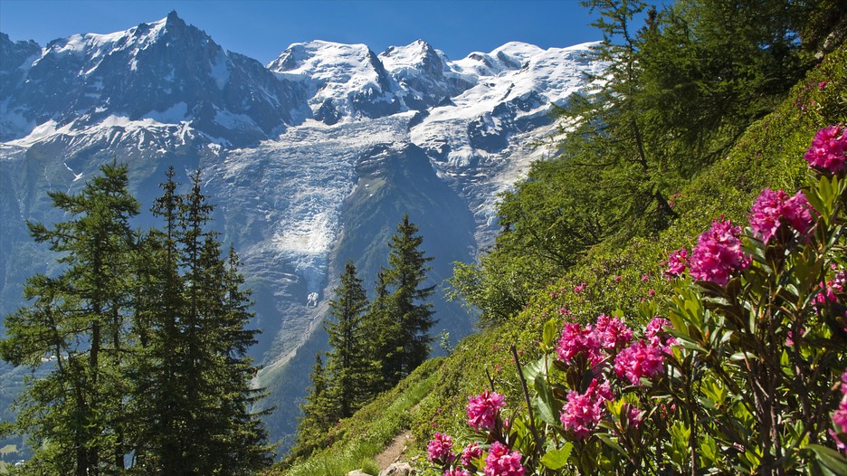 Chamonix-Mont-Blanc Vacations 2017: Package & Save up to $603 | Expedia