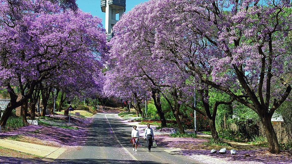 The Best Pretoria Vacation Packages 2017: Save Up to $C590 on our Deals ...