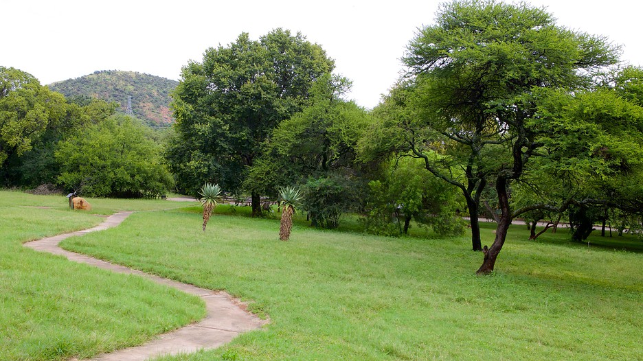 Wonderboom Nature Reserve in Pretoria, | Expedia