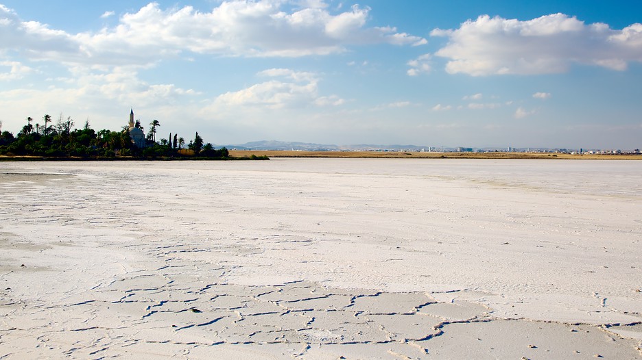 Larnaca Salt Lake in Larnaca, Larnaca District | Expedia