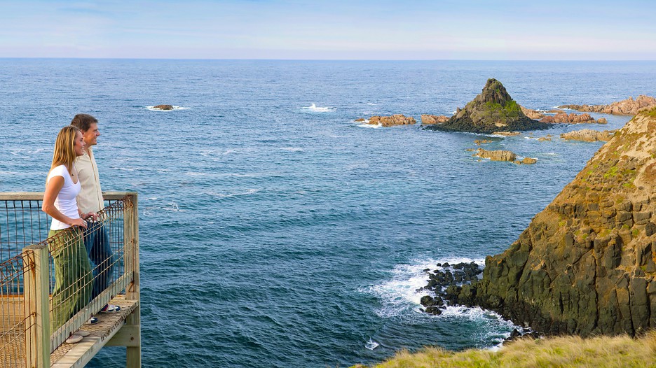 Phillip Island Holiday Packages: Book The Perfect Phillip Island ...