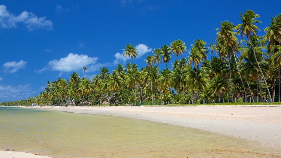 Brazil Vacations 2017: Explore Cheap Vacation Packages | Expedia