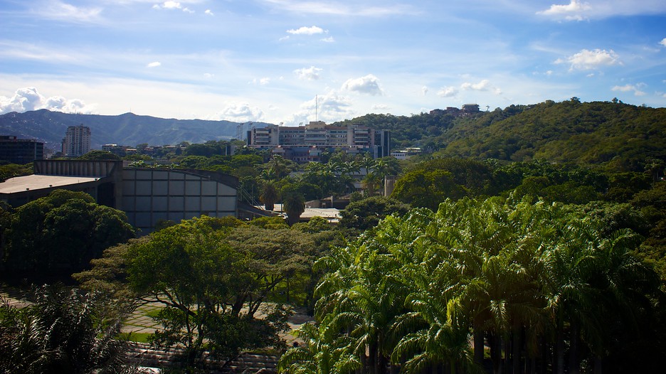 Central University of Venezuela in Caracas, | Expedia