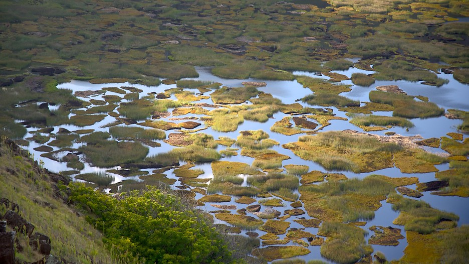 Hanga Roa Vacations 2017: Package & Save up to $603 | Expedia