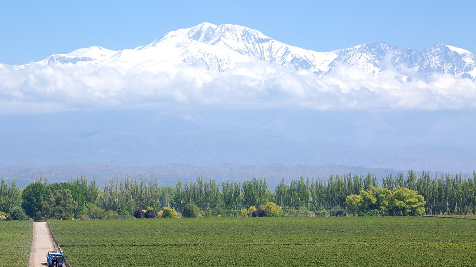 Catena Zapata Winery in Mendoza Wine Region, | Expedia