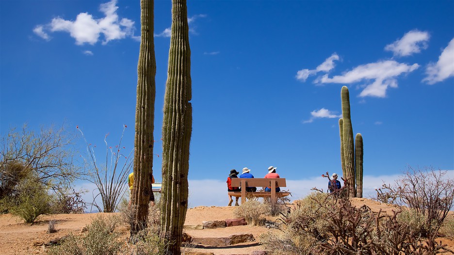 Southern Arizona Vacations 2017: Explore Cheap Vacation Packages | Expedia