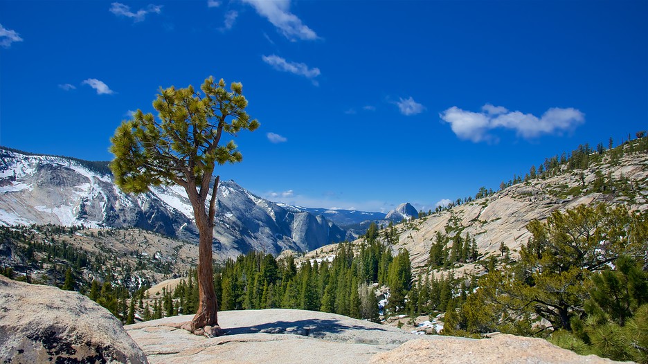 Olmsted Point in Yosemite National Park, California | Expedia
