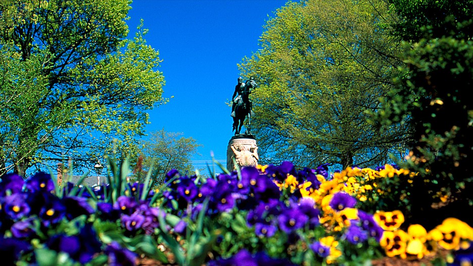 Charlottesville Vacation Packages 2017 - Book Charlottesville Trips ...