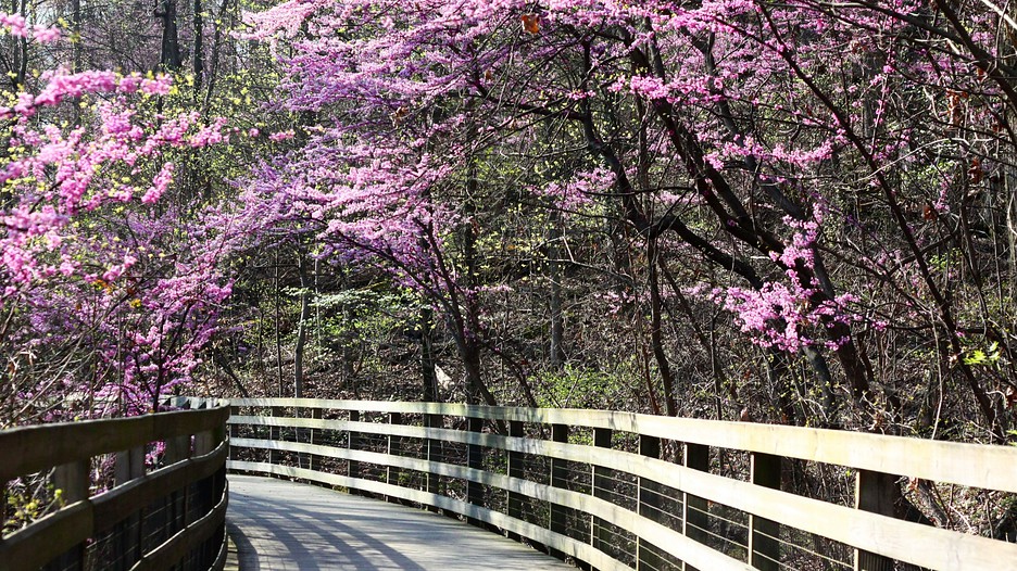 Charlottesville Vacation Packages 2017 - Book Charlottesville Trips ...