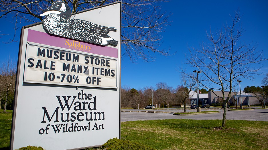 Ward Museum Logo