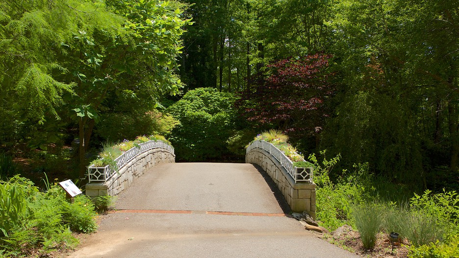 State Botanical Garden of Georgia in Athens, Georgia | Expedia