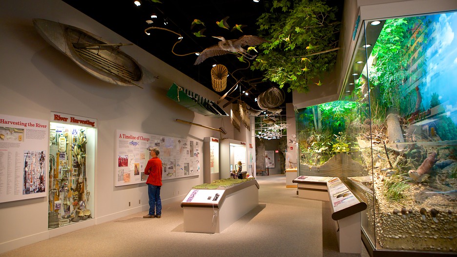 Illinois State Museum in Springfield, Illinois | Expedia