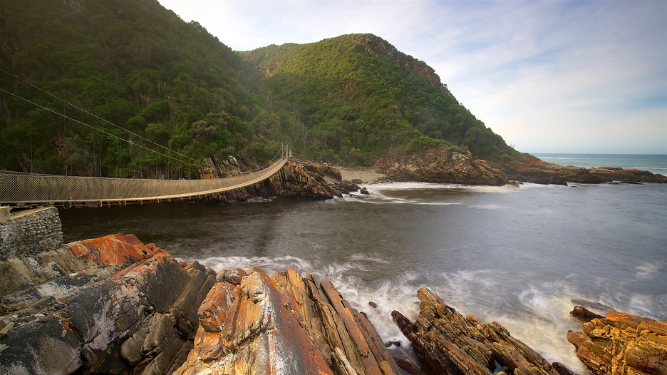 Tsitsikamma National Park in Storms River, | Expedia