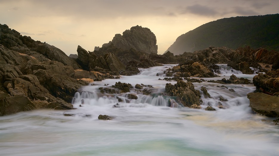 Tsitsikamma National Park in Storms River, | Expedia