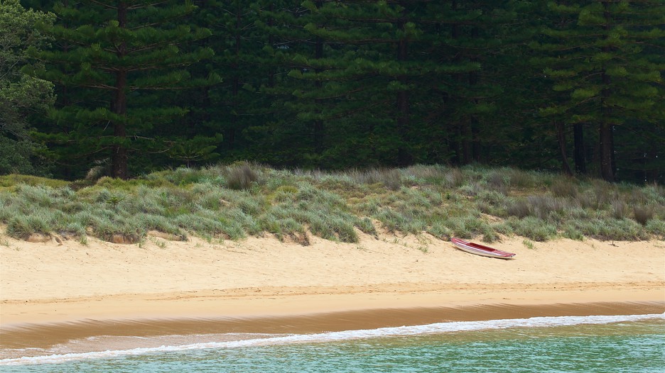 Emily Bay Beach in Norfolk Island, | Expedia