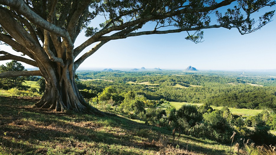Maleny Vacations 2017 Package Save Up To 603 Expedia