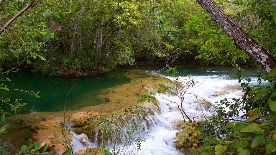 Parque Ecológico Rio Formoso em Bonito, Brasil | Expedia.com.br
